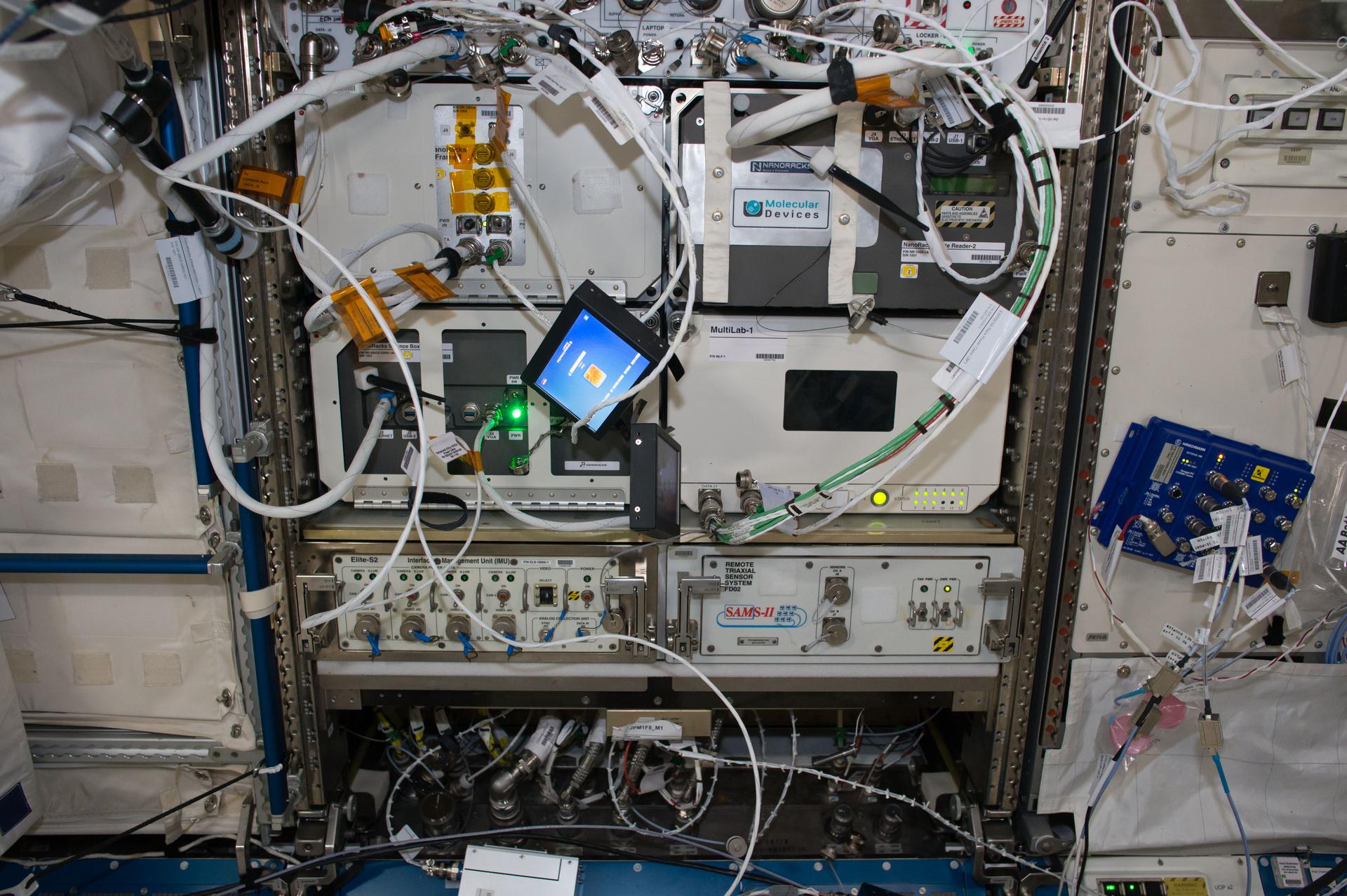 Celebrating 33 Years of the Space Acceleration Measurement System